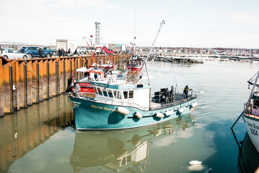 From the Saint-Laurent river to your fridge, where can you buy the best ...