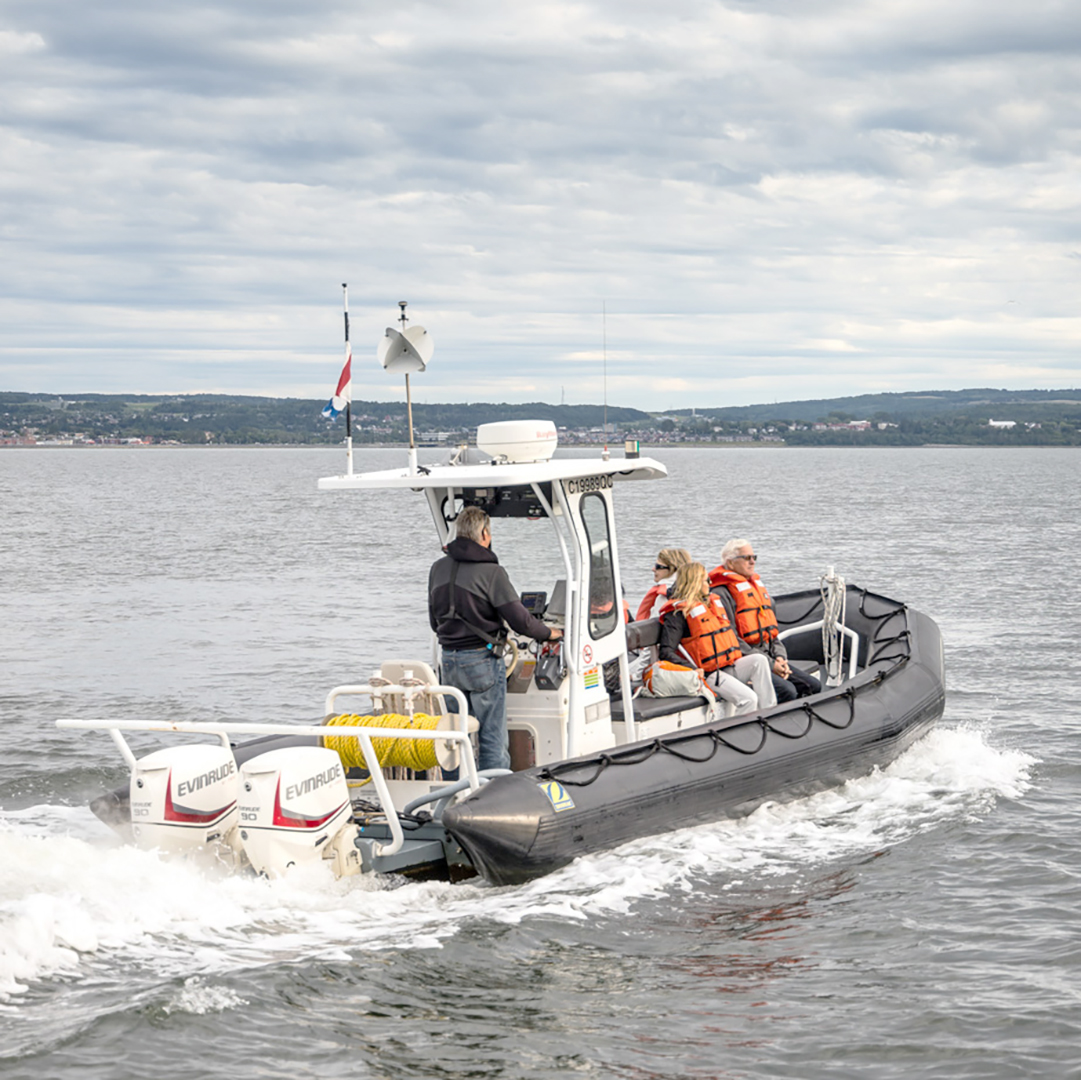 Excursion Île Saint-Barnabé