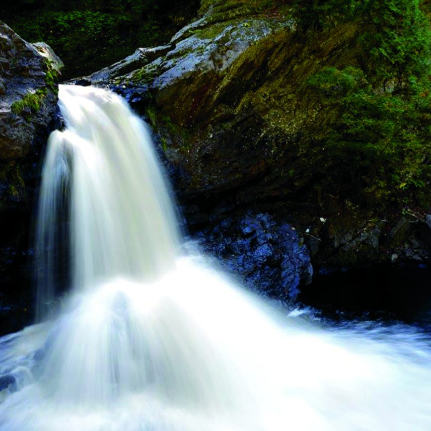 Ville de Saint-Pascal - Tourisme Bas-Saint-Laurent