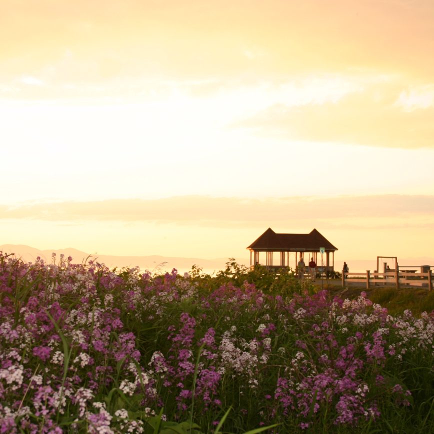 Kamouraska - Map of things to do | Bas-Saint-Laurent Tourism