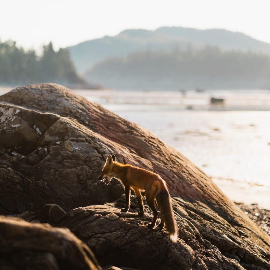 Saint-Mathieu-de-Rioux : L’été au cœur de la nature - Tourisme Bas ...