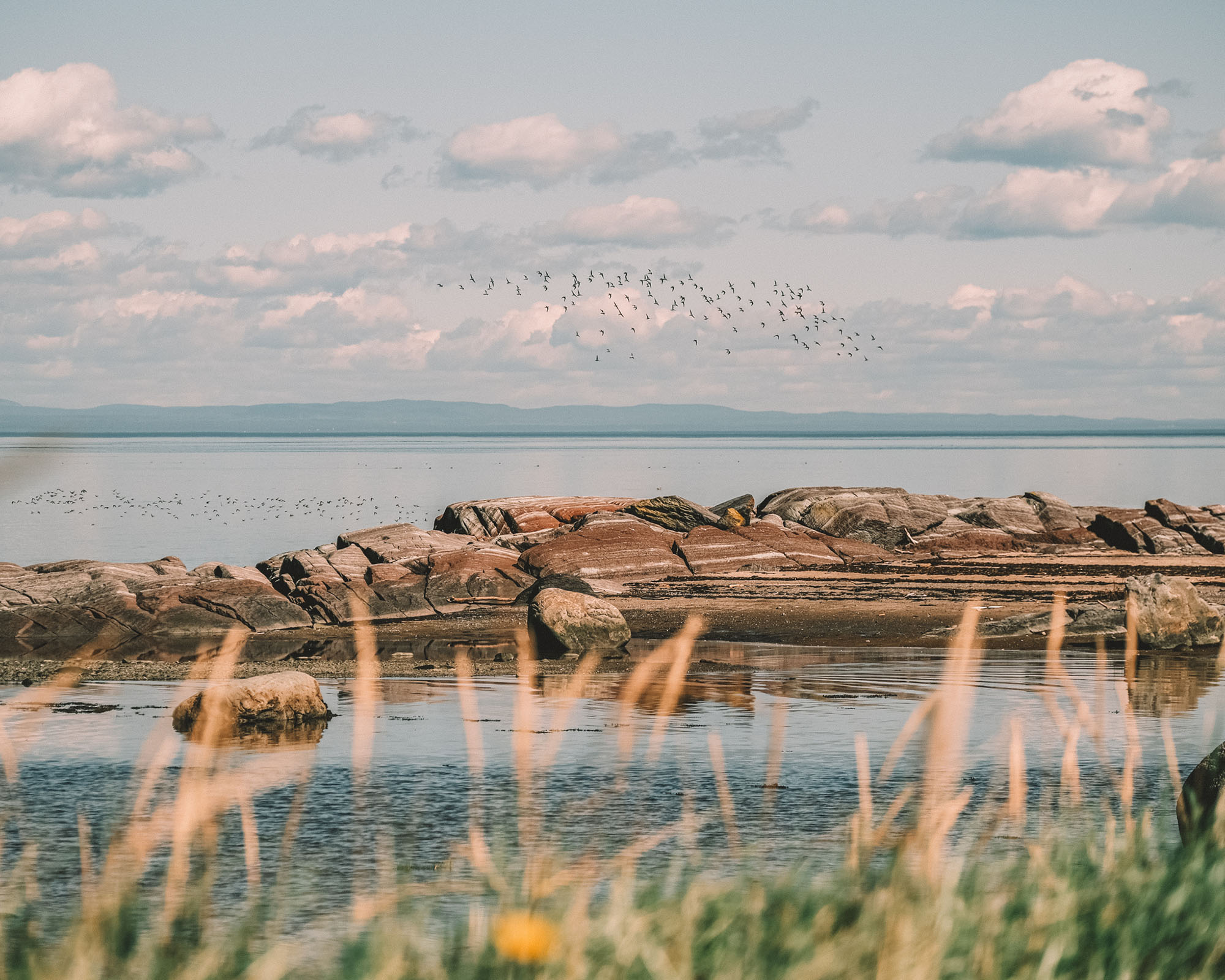 Webzine - Tourisme Bas-Saint-Laurent