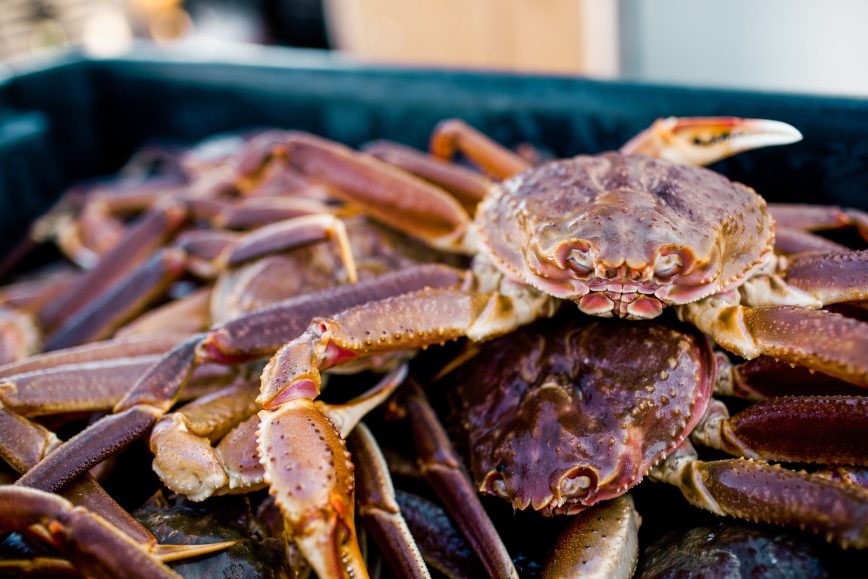 Municipalité de Saint-Louis-du-Ha! Ha!