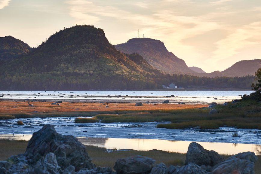 Festival ARCHIPEL 2025 : Entre fleuve et folie douce - Tourisme Bas ...