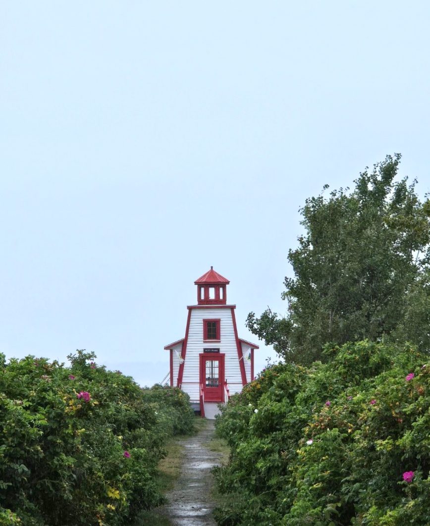 Le miracle de l’érable - La création du sirop d’érable en 7 étapes - Tourisme Bas-Saint-Laurent