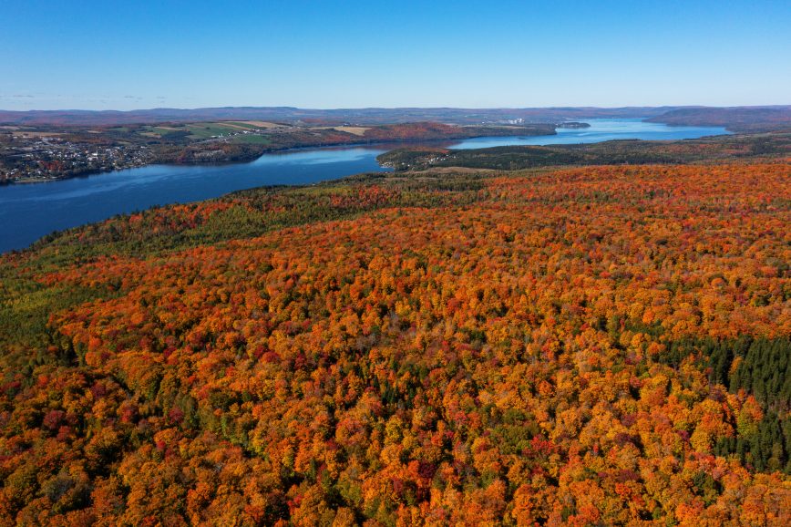 Family autumn in the Bas-Saint-Laurent region starts in Témiscouata ...