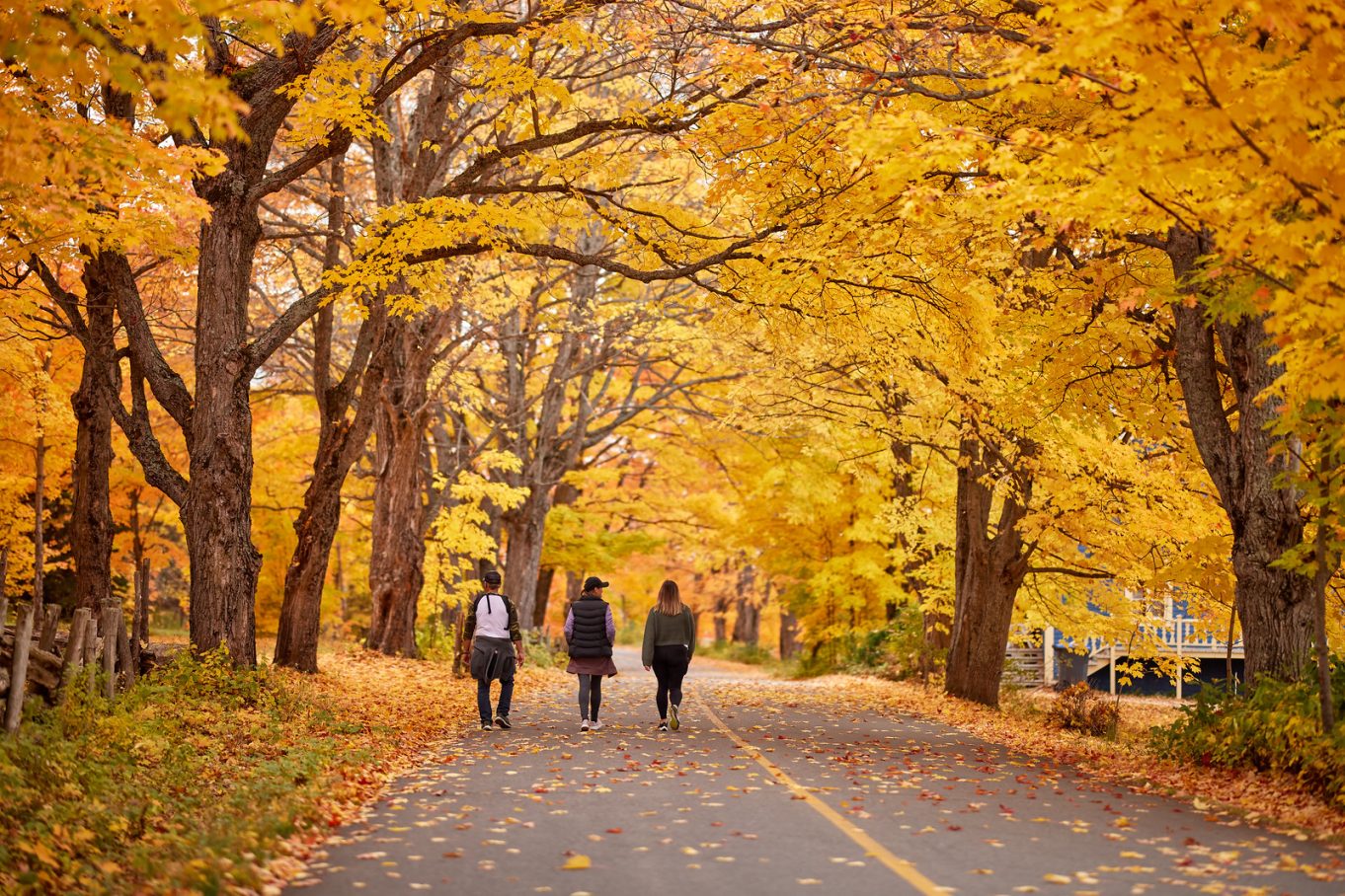5 activities to make your autumn a success - Tourisme Bas-Saint-Laurent