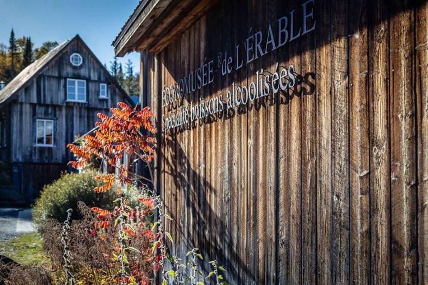 Le miracle de l’érable - La création du sirop d’érable en 7 étapes ...