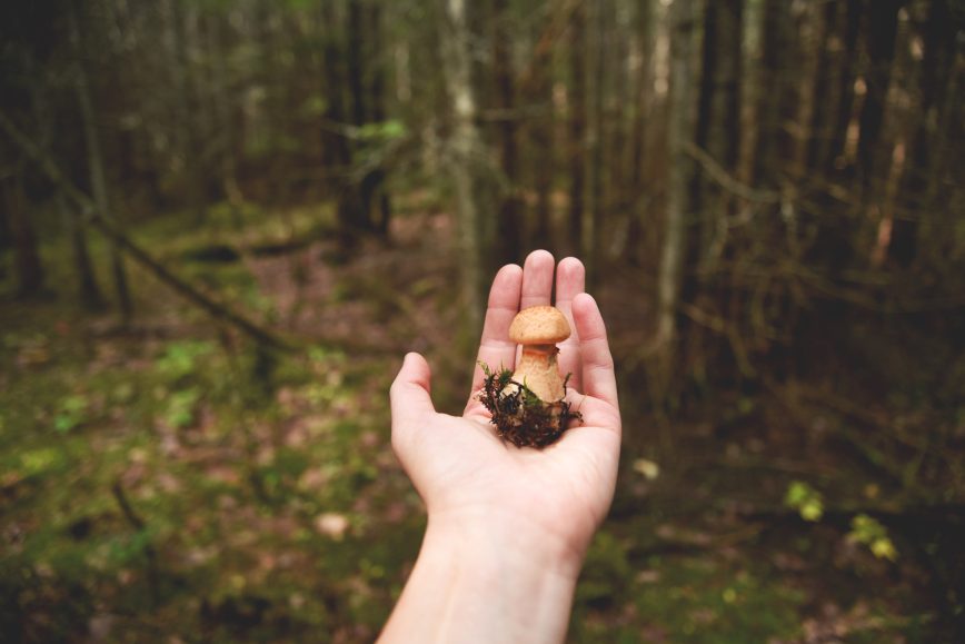 Rimouski - Map of things to do | Bas-Saint-Laurent Tourism