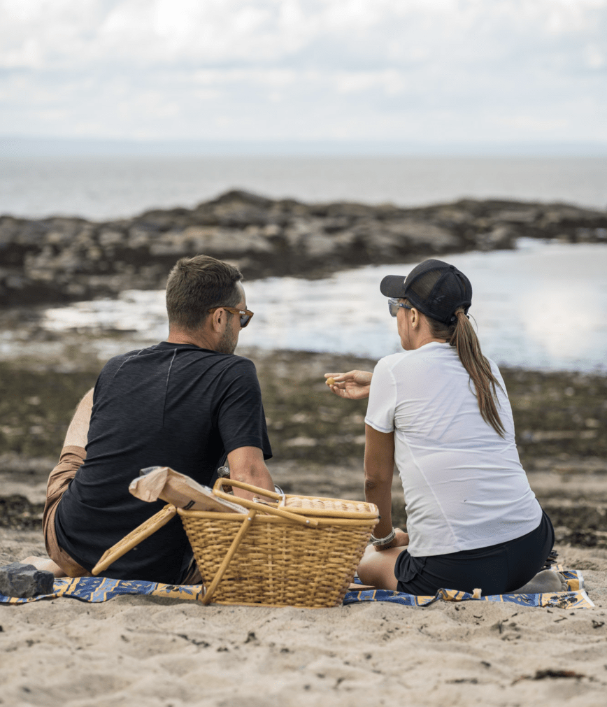 From the market to the tablecloth: every picnic has its own style ...